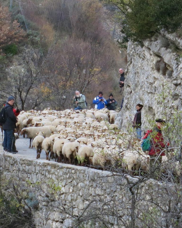 Ensemble Ici - MONTEE DES MOUTONS