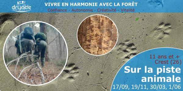 Ensemble Ici - Sur la piste animale